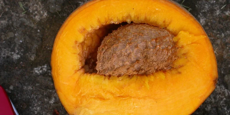 Les Fruits Anguilla - Key Paradise